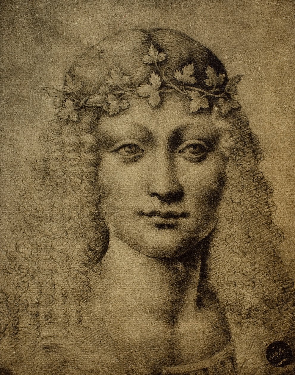 Hoved af en pige eller af en ung Bacchus; tegning af Leonardo da Vinci ...